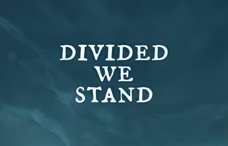 "Divided We Stand": Exploring Social Divisions and Unity